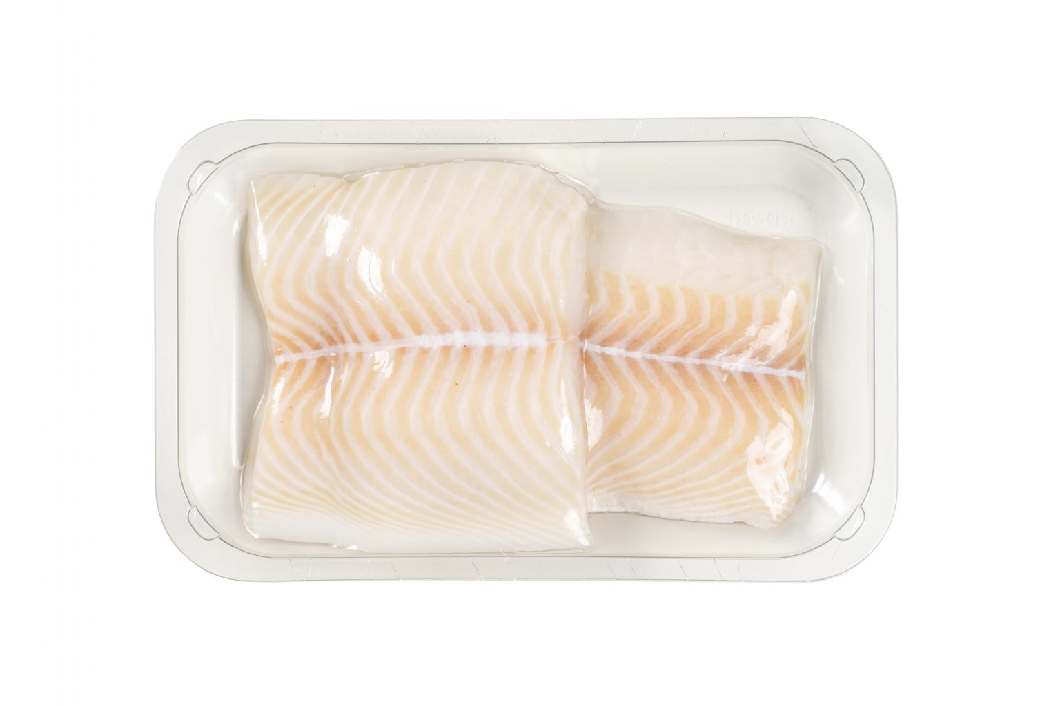 Heilbot recept, bereiding op Oosterse wijze met koolsalade - Visrecepten