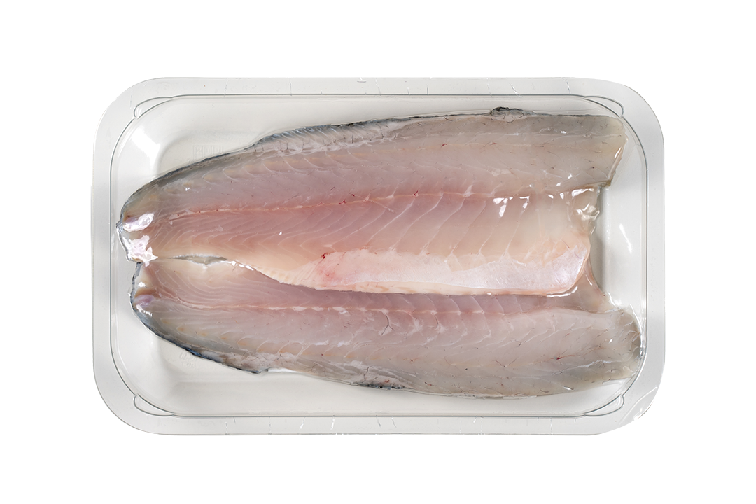 Zeebaars filet van de bbq, met quinoa, romige saus en kruidenolie